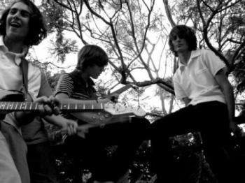 Dionysus - Muzic.NZ - Musicians & Bands