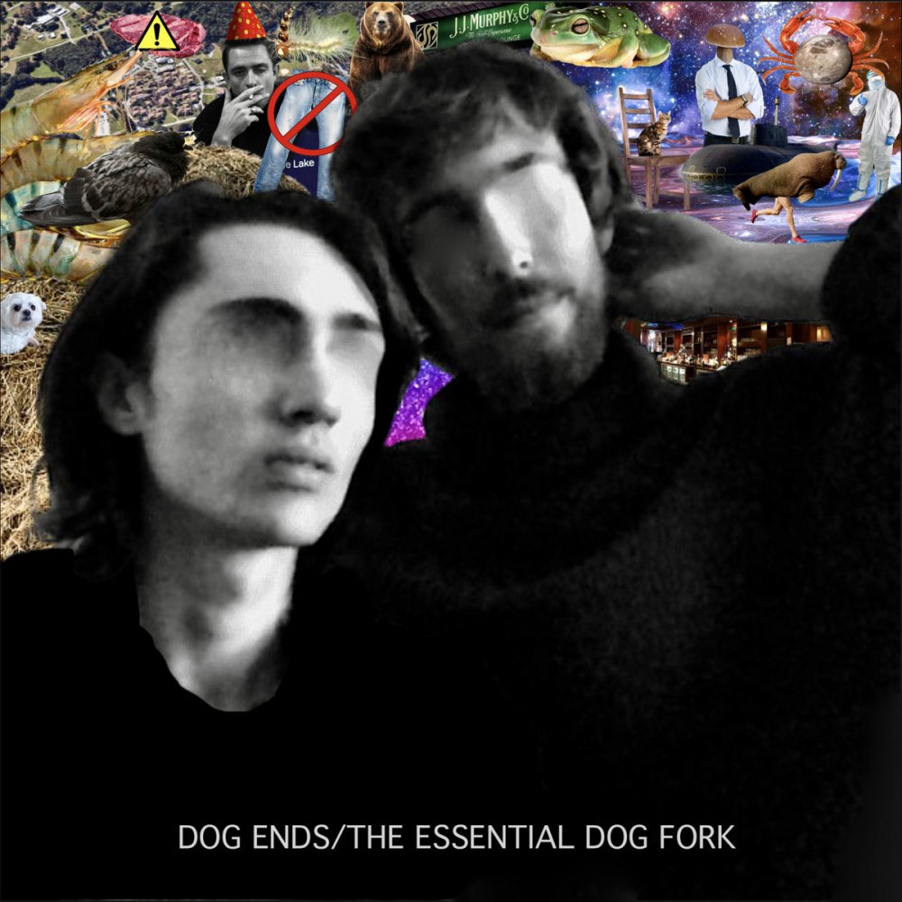 Dog Fork - Muzic.NZ - Musicians & Bands