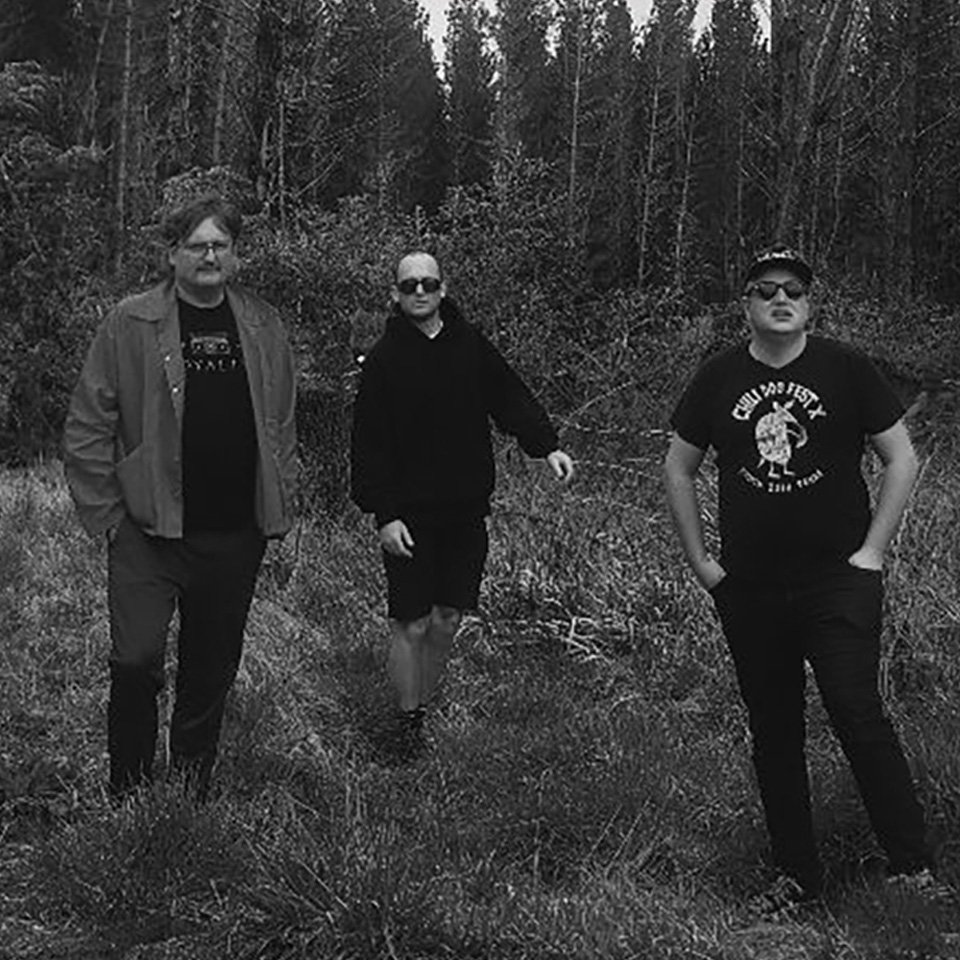 Swallow the Rat - Muzic.NZ - Musicians & Bands