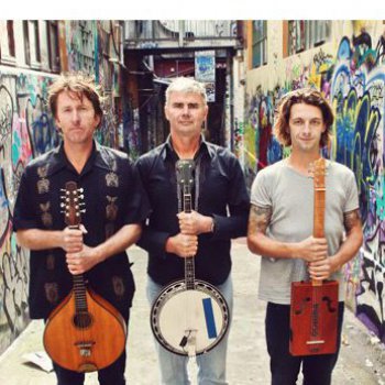 The Shot Band - Muzic.NZ - Musicians & Bands