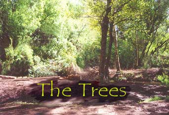 The Trees - Muzic.NZ - Musicians & Bands