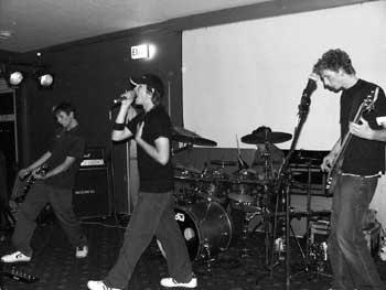 Ubiquitous - Muzic.NZ - Musicians & Bands