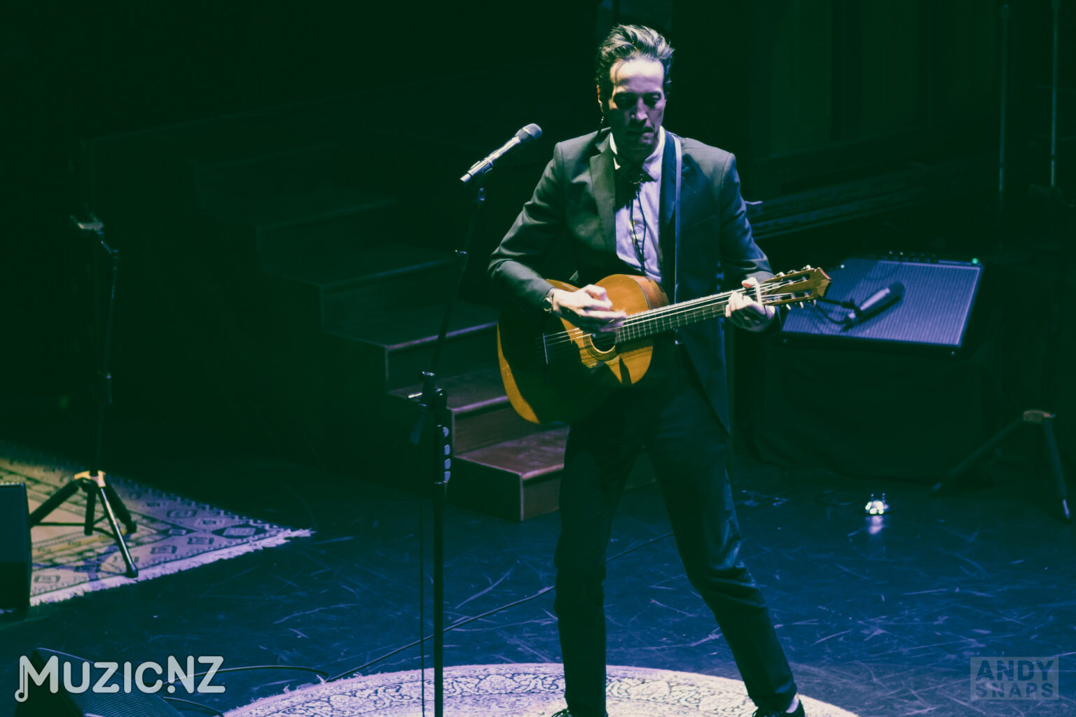 Marlon Williams - Muzic.NZ - Musicians & Bands