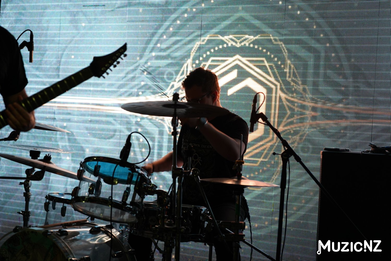 Elidi @ Franks Bar, Whanganui – 15/11/2024 – Muzic.NZ