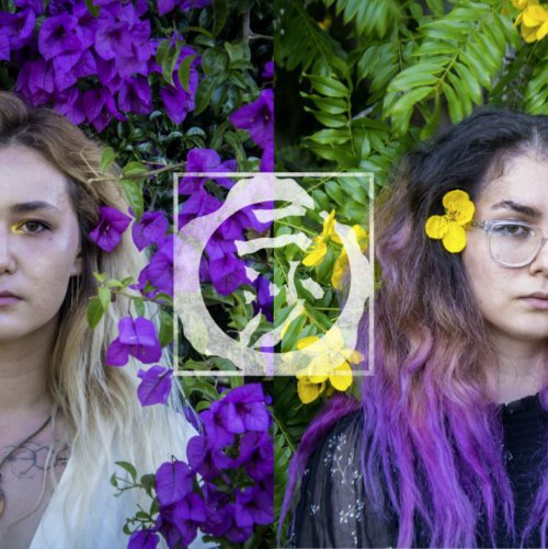 Ersha Island Newsletter Interview – Muzic.NZ