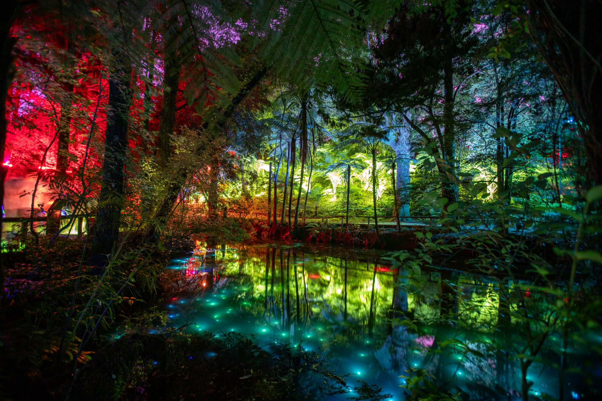 Expressions of Interest Now Open for TSB Festival of Lights 2025 / 2026 ...