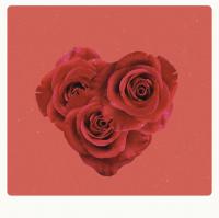 Aidan Fine – ‘Deadroses’ – Muzic.NZ