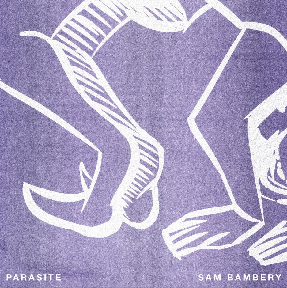 Aotearoa Artist Sam Bambery Announces Album Release + Shares Debut ...