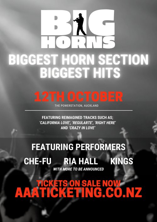 ‘Big Horns’ Aotearoa’s biggest and best horn section, live remixing the ...