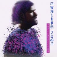 Daniel McClelland – ’Swallow Fear’ – Muzic.NZ