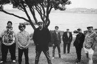 Fat Freddy’s Drop Blackbird Set To Soar – Muzic.NZ