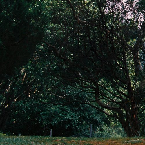 Introducing Spud Rock + Their Debut Single ‘Breathing Softly On My Window’ – Muzic.NZ