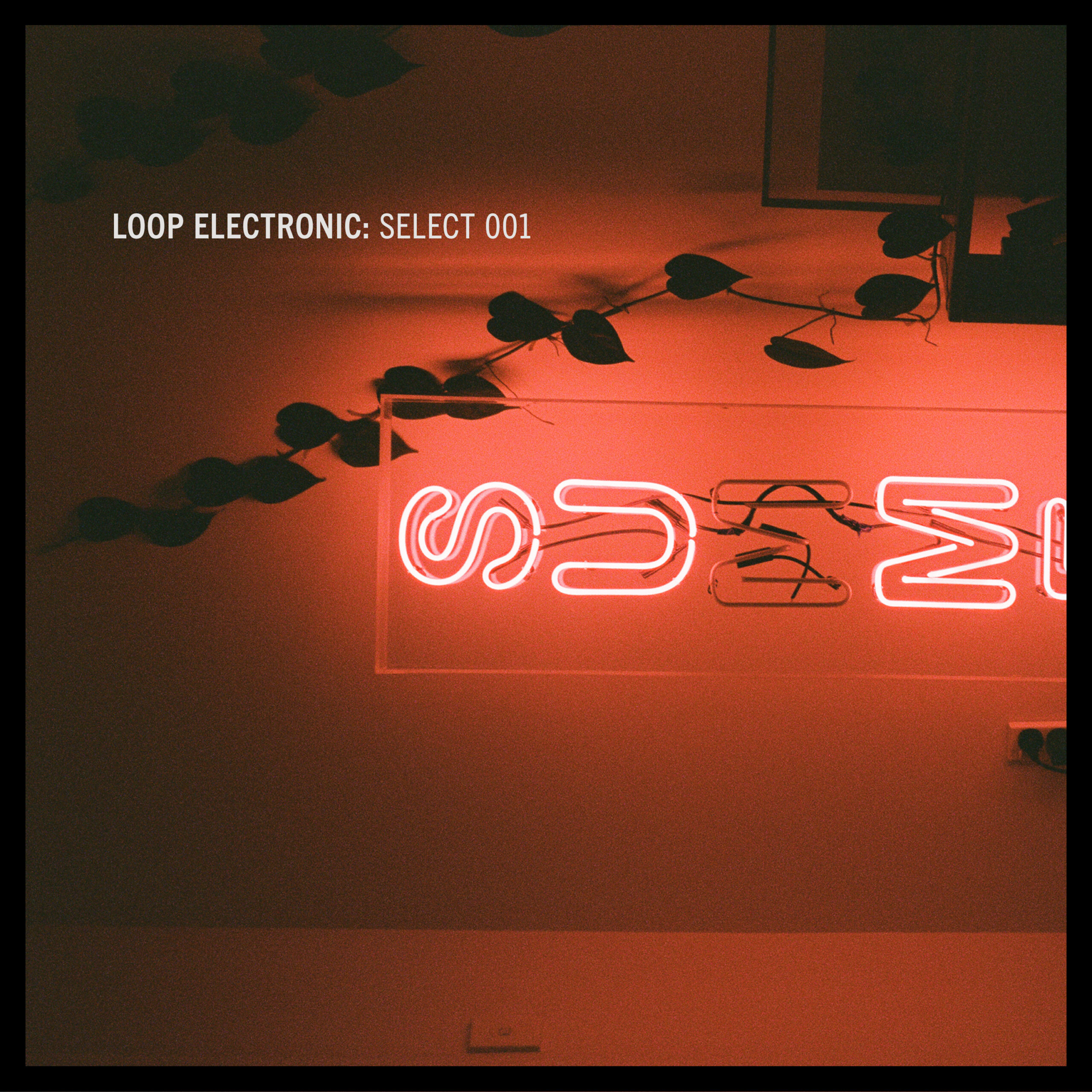 Loop Electronic proudly announces the release of its first-ever ...