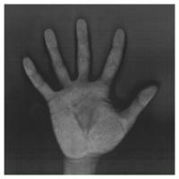 Luke Thompson delivers beautifully philosophical album – Muzic.NZ