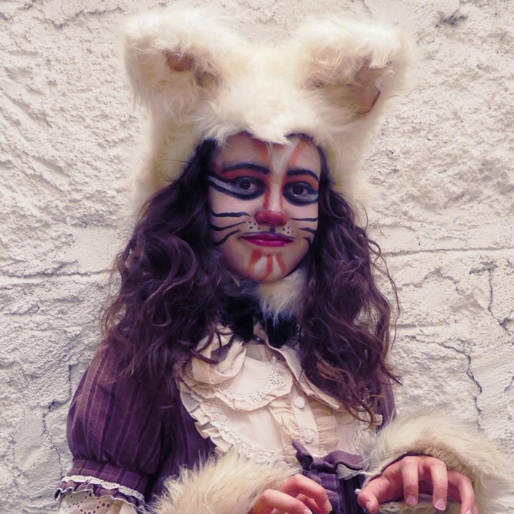 McBoyle Joins The Seriously Silly Society – Muzic.NZ