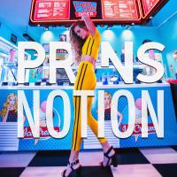 PRINS Releases Summer Track – ‘Notion’ – Muzic.NZ