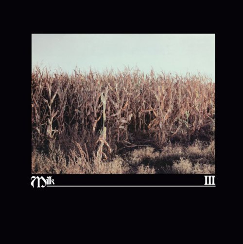 Reuben Winter’s Family & Flying Nun Records To Release ‘Milk III ...