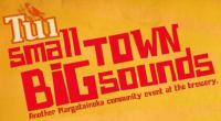 Small Town – Big Sounds – Muzic.NZ