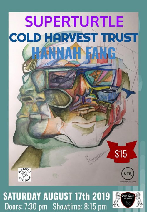 Superturtle, Cold Harvest Trust and Hannah Fang Milford Gig – Muzic.NZ