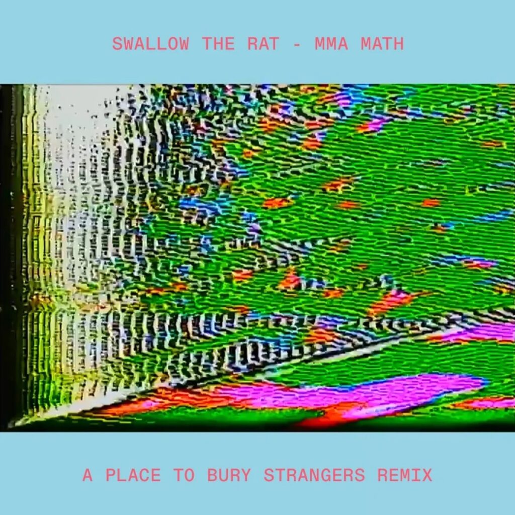 Swallow the Rat release their new single ‘MMA Math (A Place to Bury ...