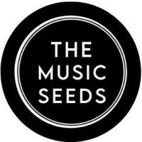 The Music Seeds Artist Development Program – Winners Announced! – Muzic.NZ