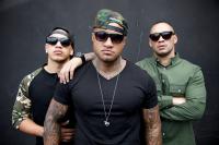 Top Maori musicians perform to raise funds for music therapy centre ...