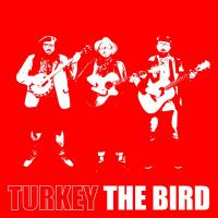 Turkey The Bird Album Launch – Muzic.NZ