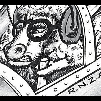 Brave Sheep – Muzic.NZ