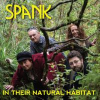 Spank - Muzic.NZ - Musicians & Bands