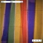Form Album Review – Muzic.NZ