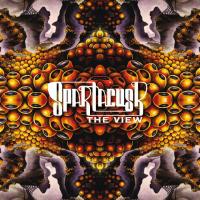 The View Album Review – Muzic.NZ